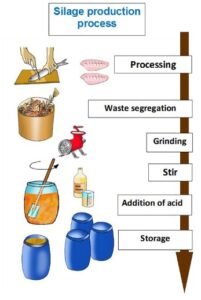 Fish Silage: Types, Preparation, and Its Use in Aquaculture - AquaHoy