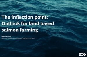 La cría de salmón en tierra en un punto de inflexión: una perspectiva ...