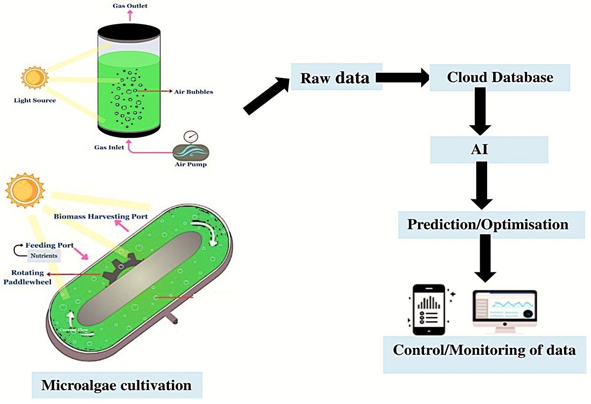Artificial Intelligence and Microalgae: The technological revolution of ...
